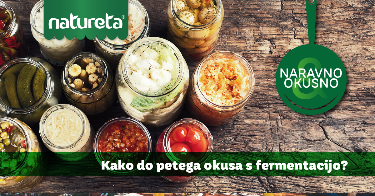 Kaj je fermentacija? - Hvala, narava! Za ozimnico!